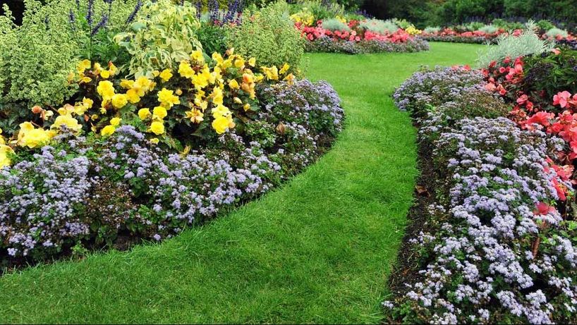 Softscaping Your Dream Garden in Gloucestershire | Easy Gardens
